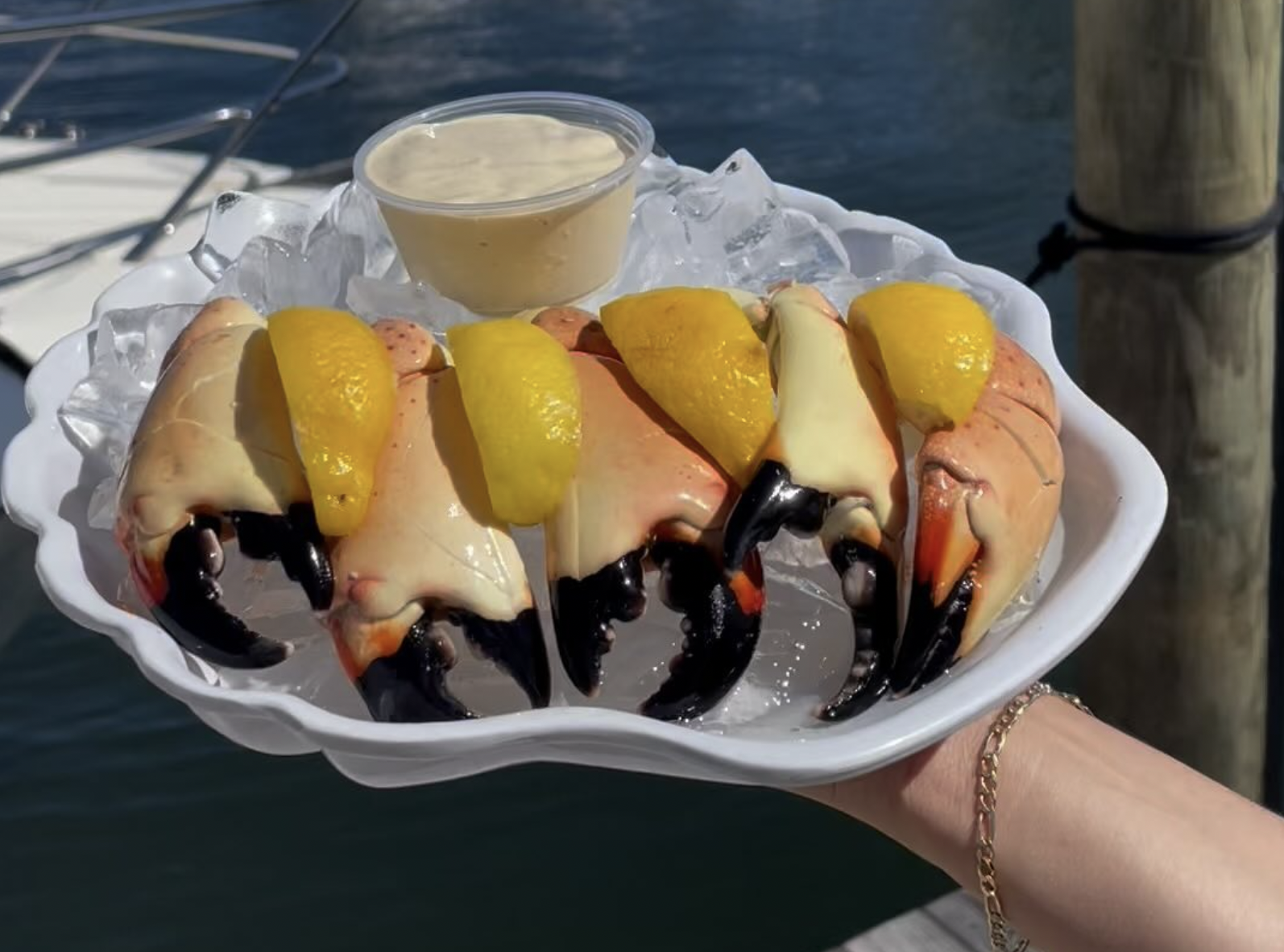 Where to Find the Best Stone Crab in Miami