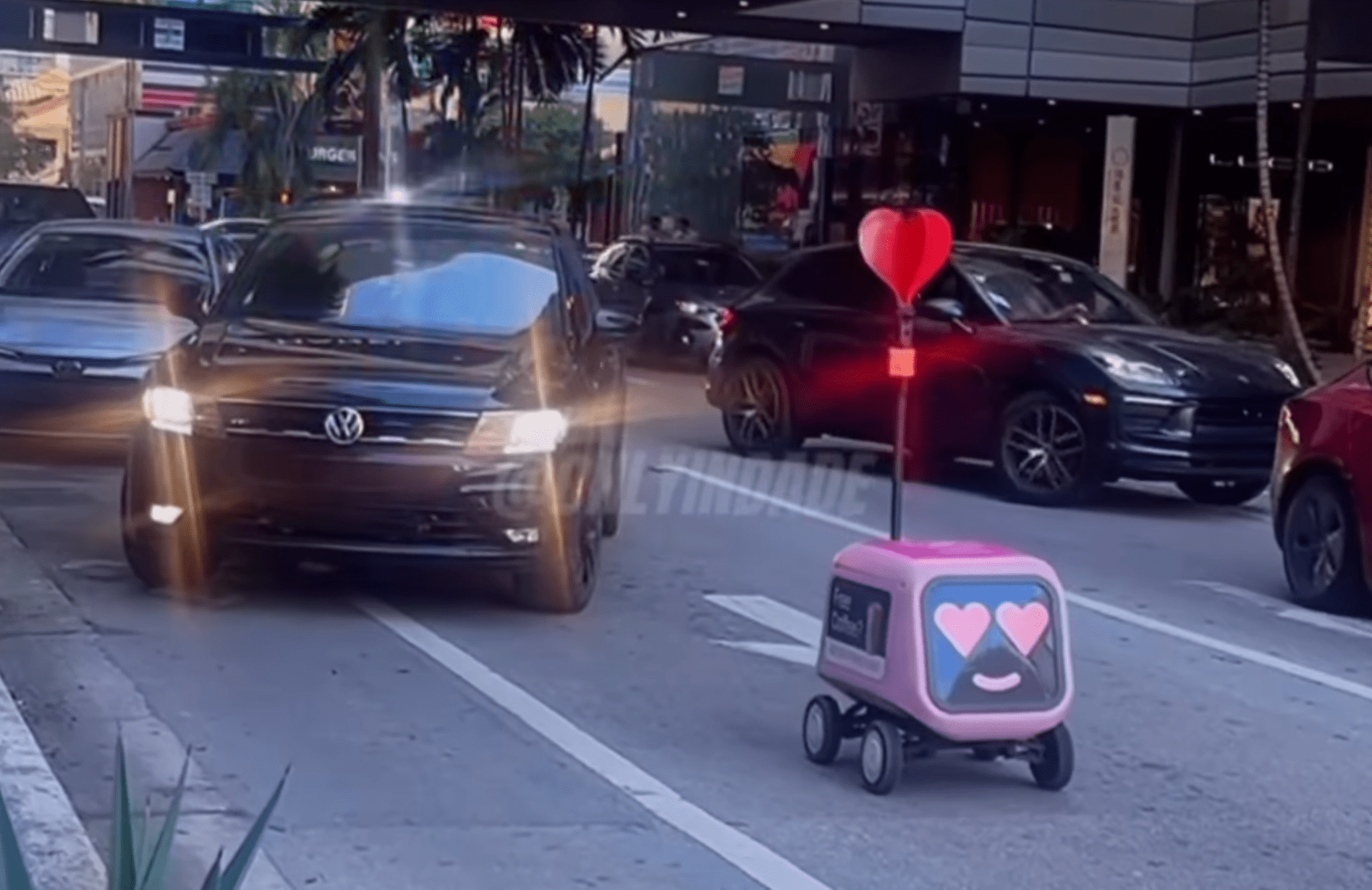 Video: Food Delivery Robots Cause Brutal Traffic Jam in Brickell