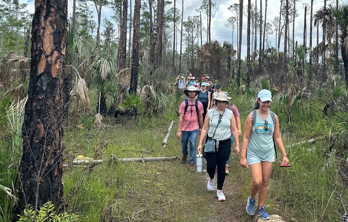 The 10 Best Hikes in Miami, Florida Miami New Times
