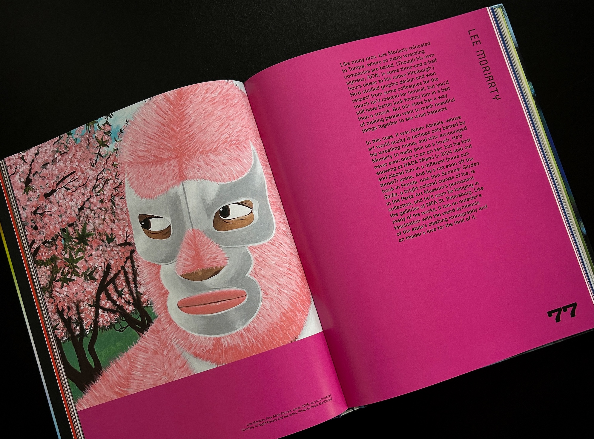 New Cultural Counsel Art Book Tackles Florida's Weirdness