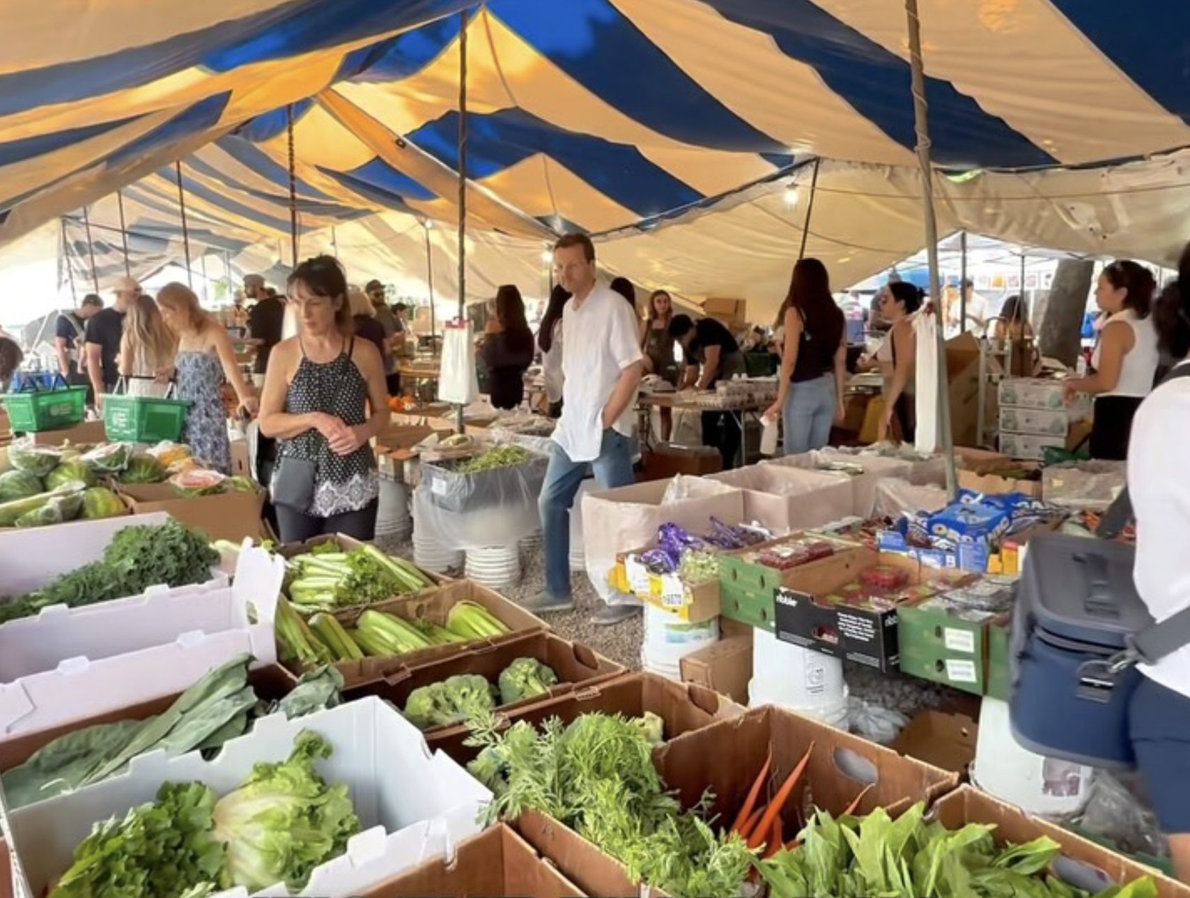 10 Best Farmers' Markets in Miami