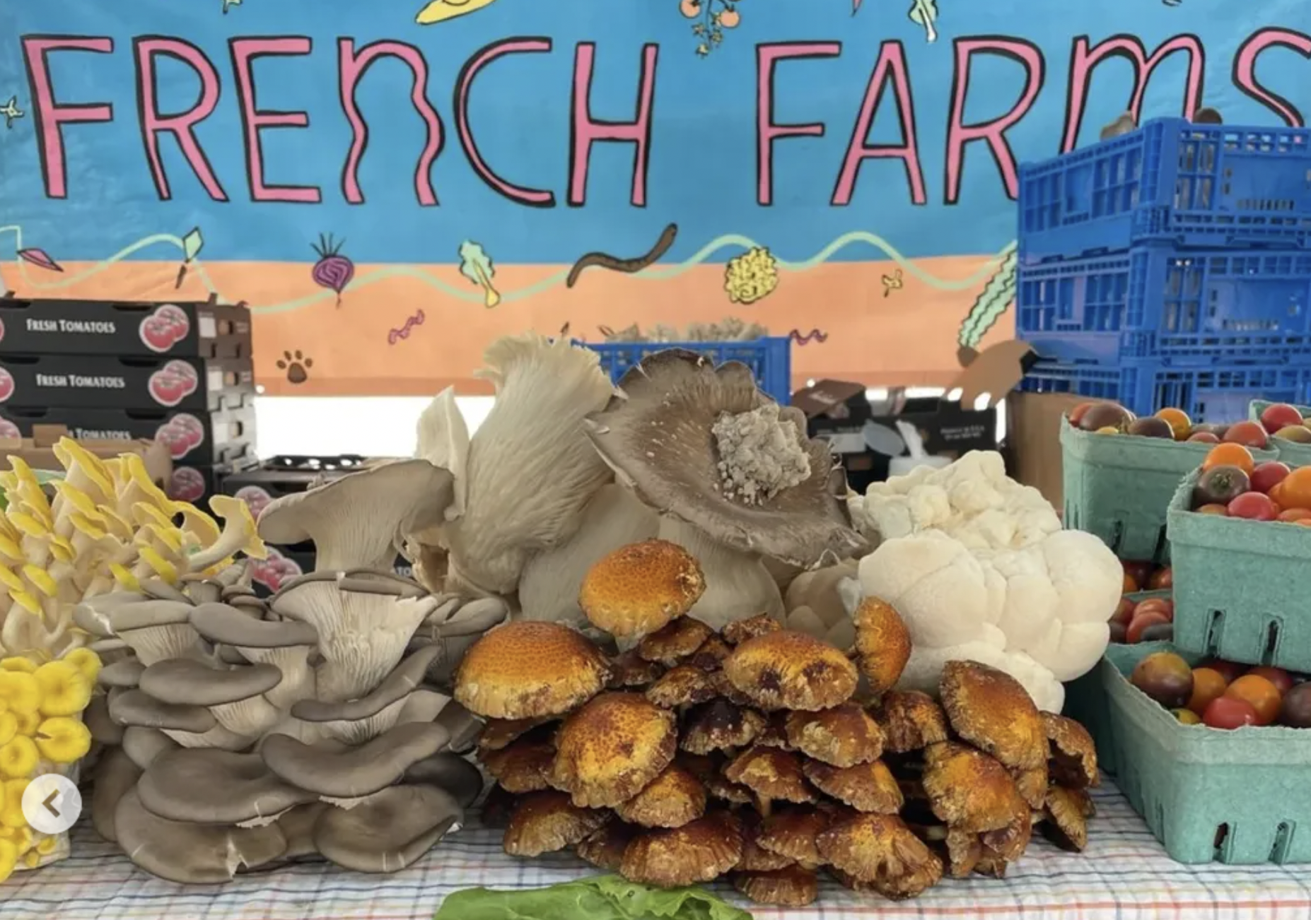 10 Best Farmers' Markets in Miami