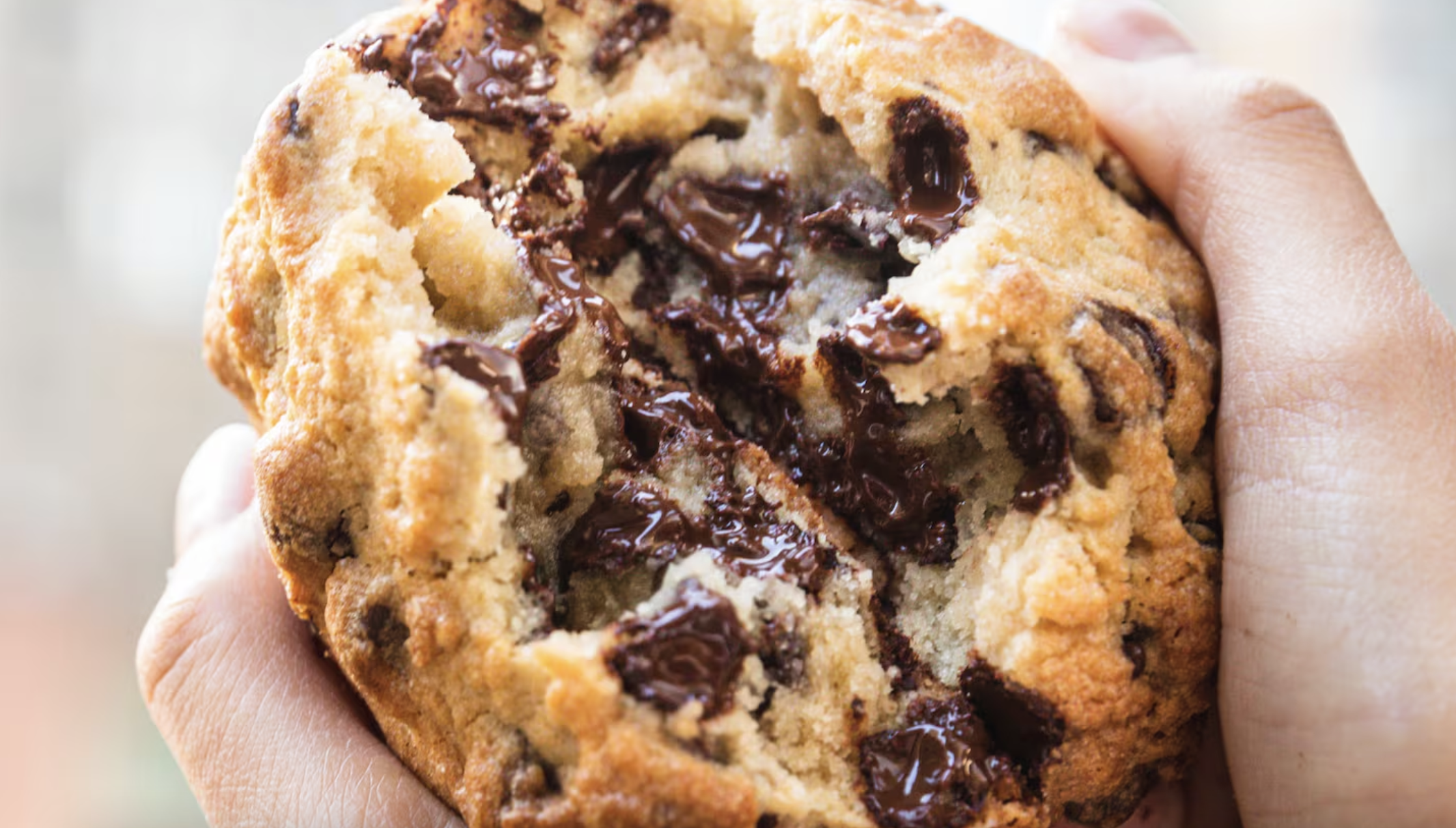 Famed NYC Bakery Levain to Open in Coconut Grove This Fall