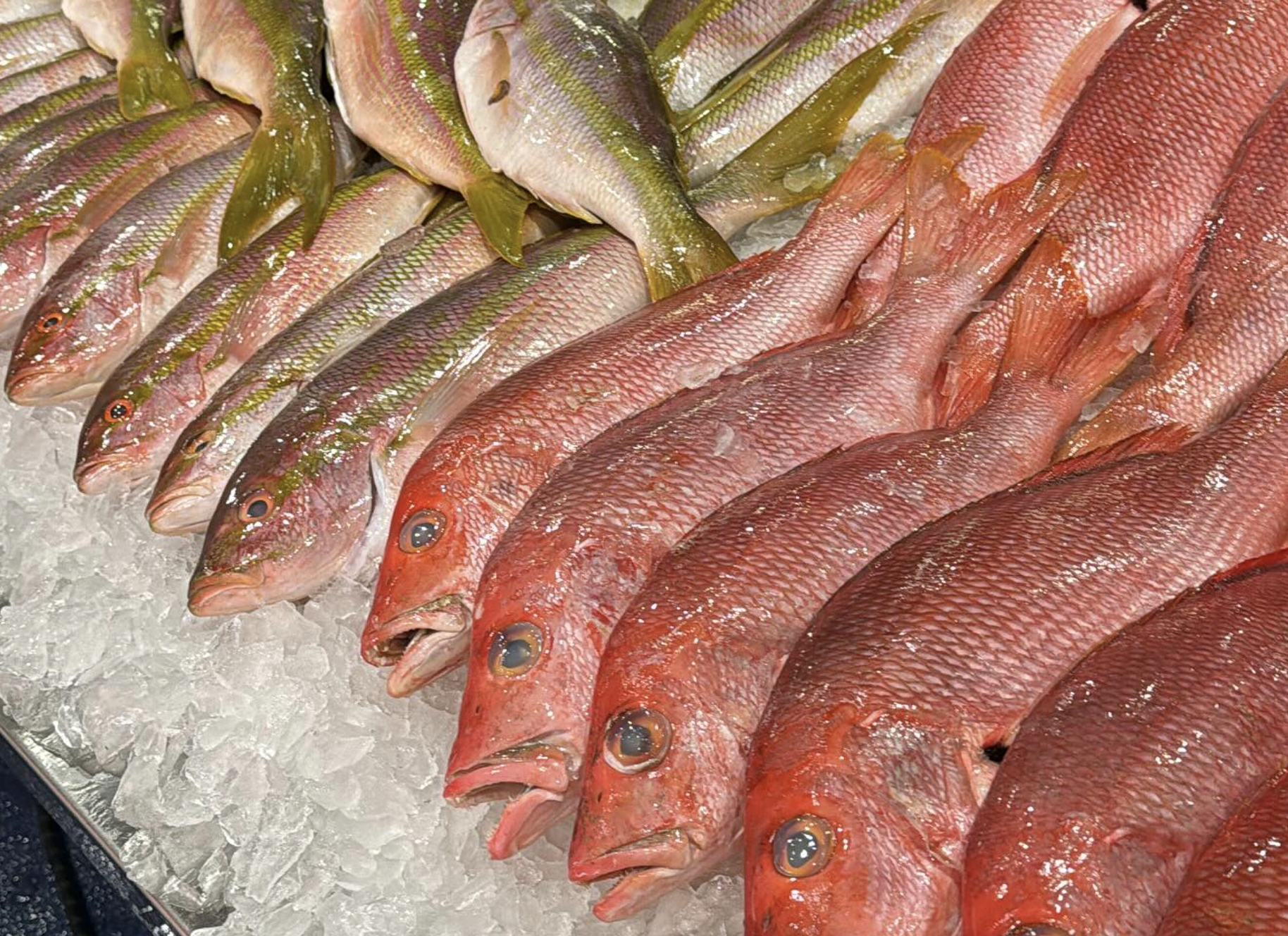 10 Best Seafood Markets in Miami, Florida | Miami New Times