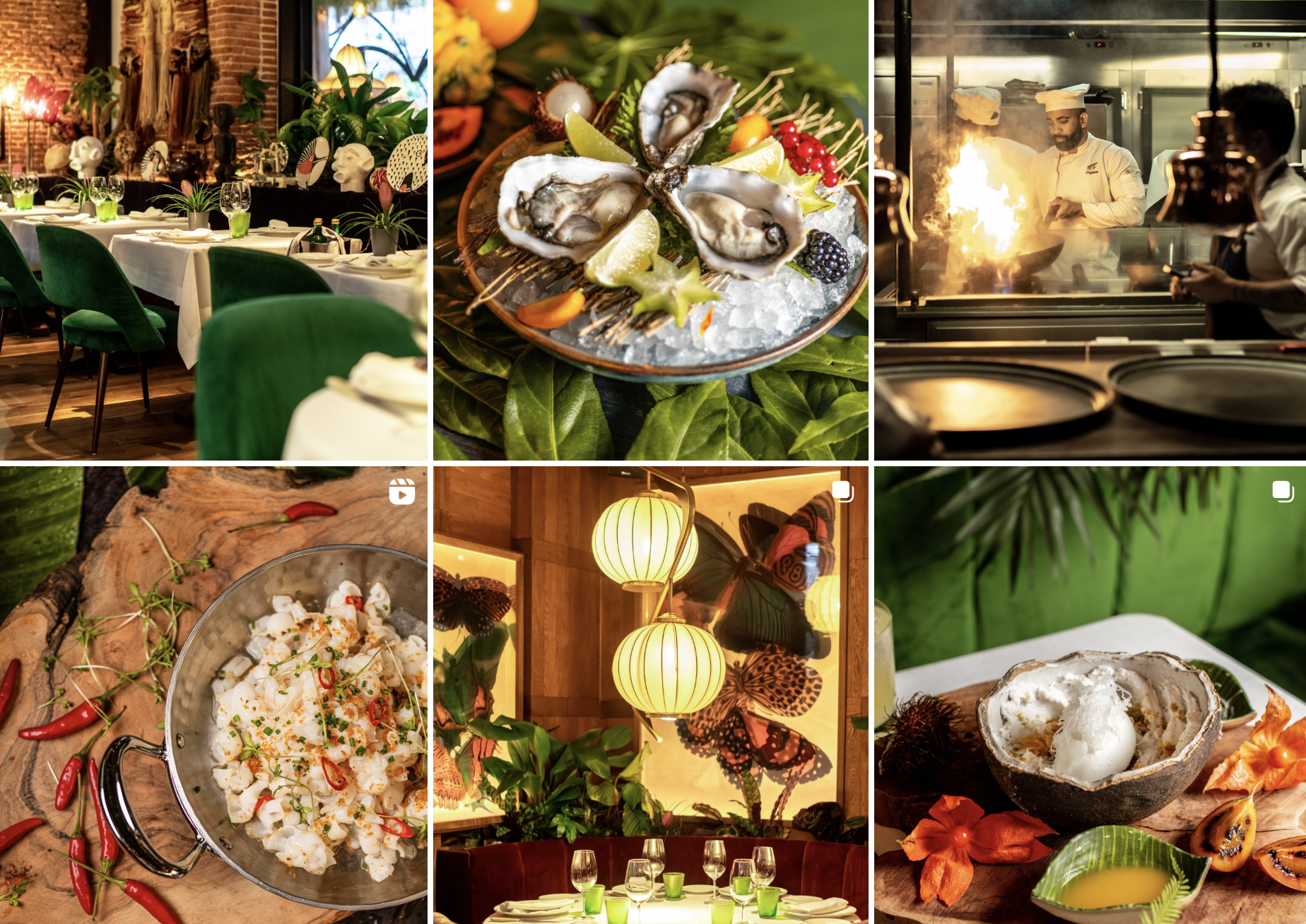 A Jungle-Themed Restaurant Is Opening in Miami This Fall | Miami New Times