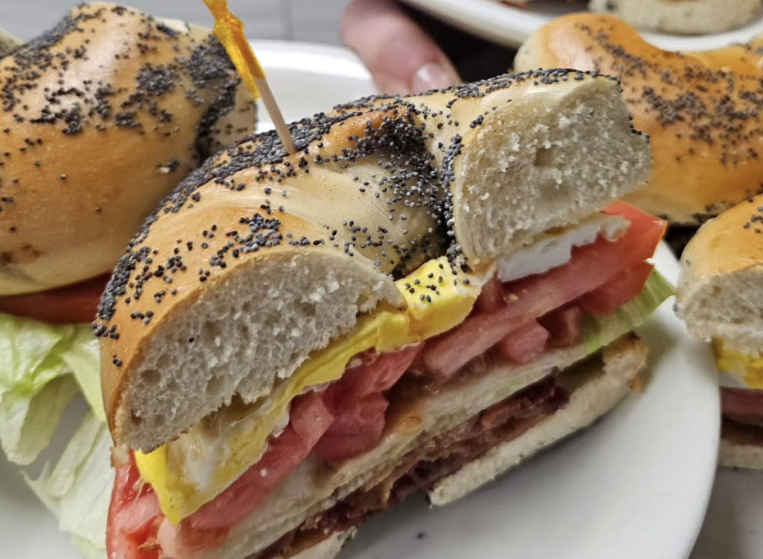 9 Best Bagels in Fort Lauderdale, Florida | Miami New Times