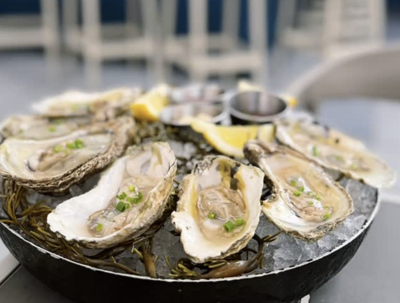 Coral Gables' First Rooftop Bar Reopens With Oysters, Tapas