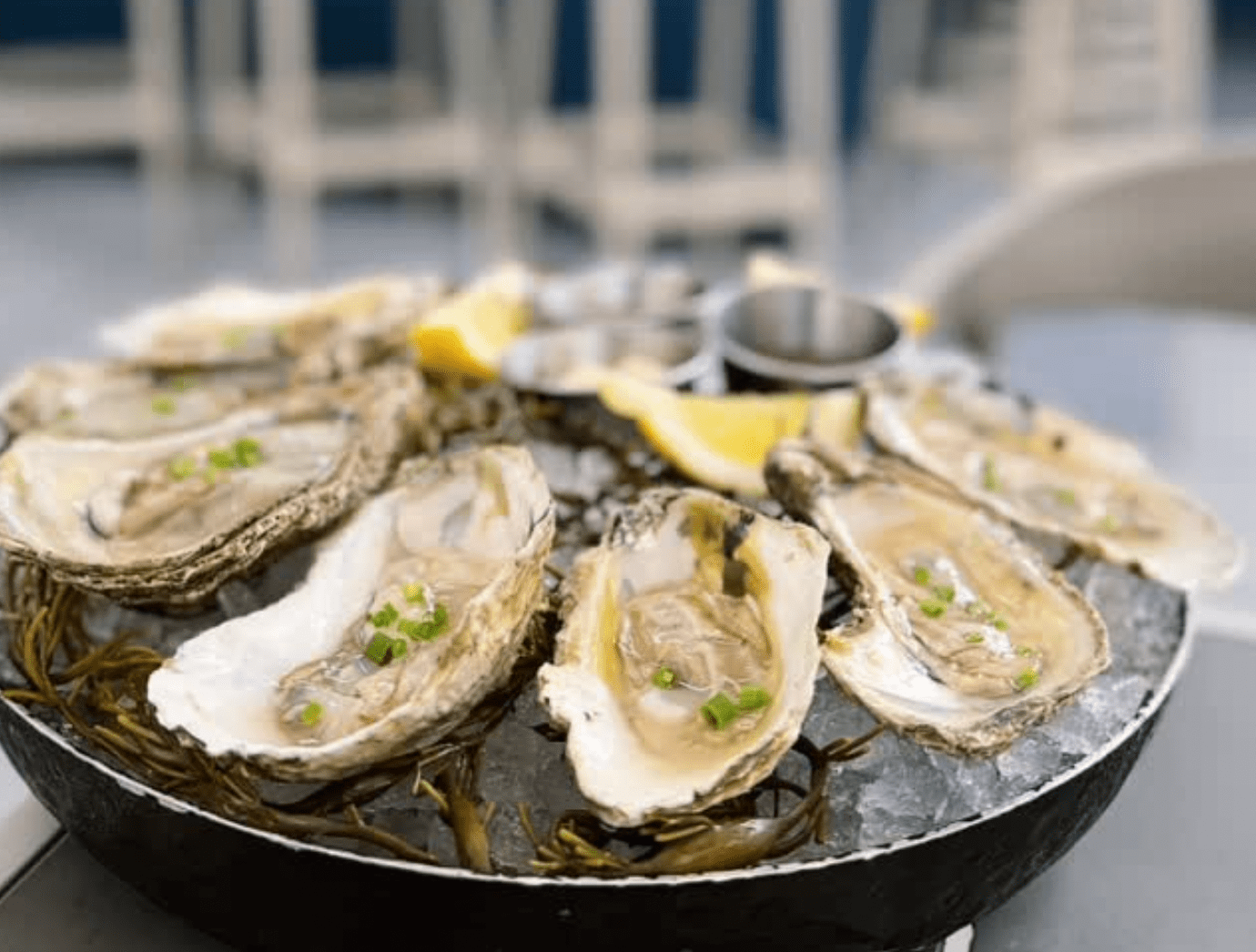 Coral Gables' First Rooftop Bar Reopens With Oysters, Tapas